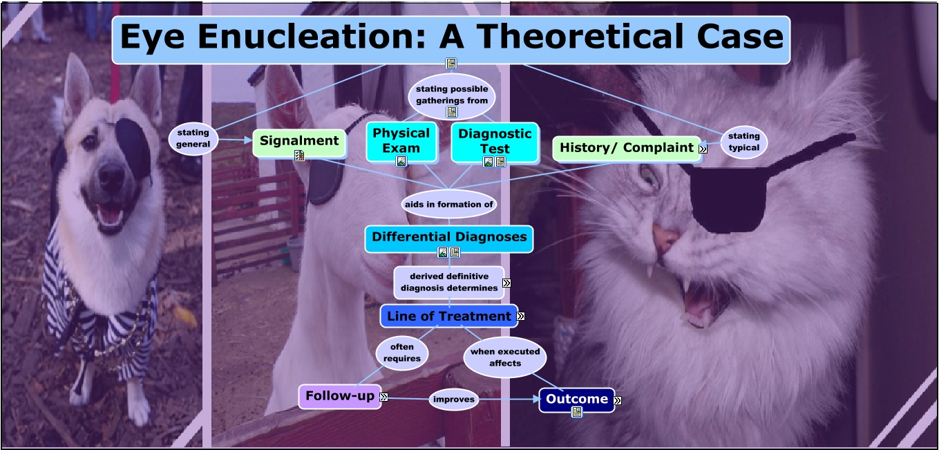 Eye enucleation - a theoretical case