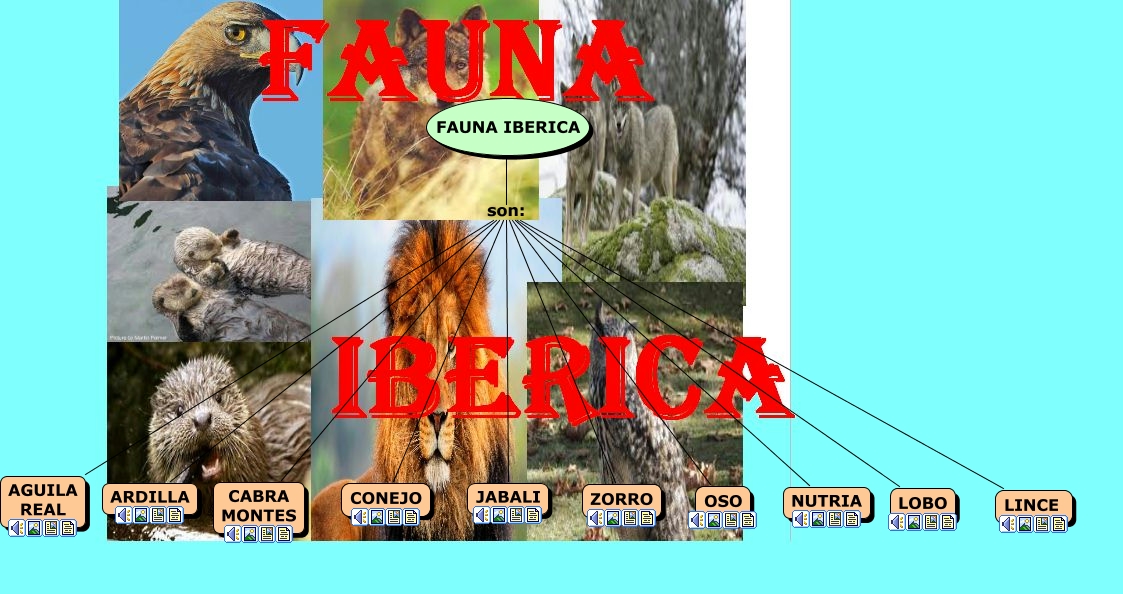 ESO2-LAURA-FERNANDEZ-FAUNA IBERICA