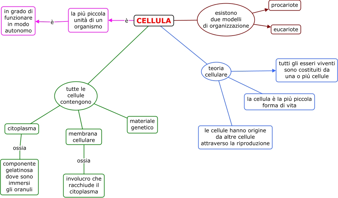 biologia_cellula
