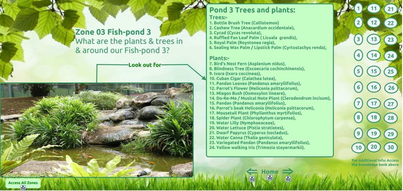Zone-03_Fish-pond-3 - What are are the plants & trees in our Fish-pond 3?
