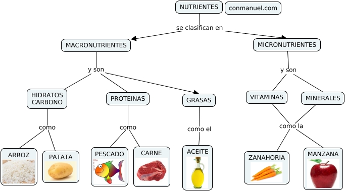 4-nutrientes