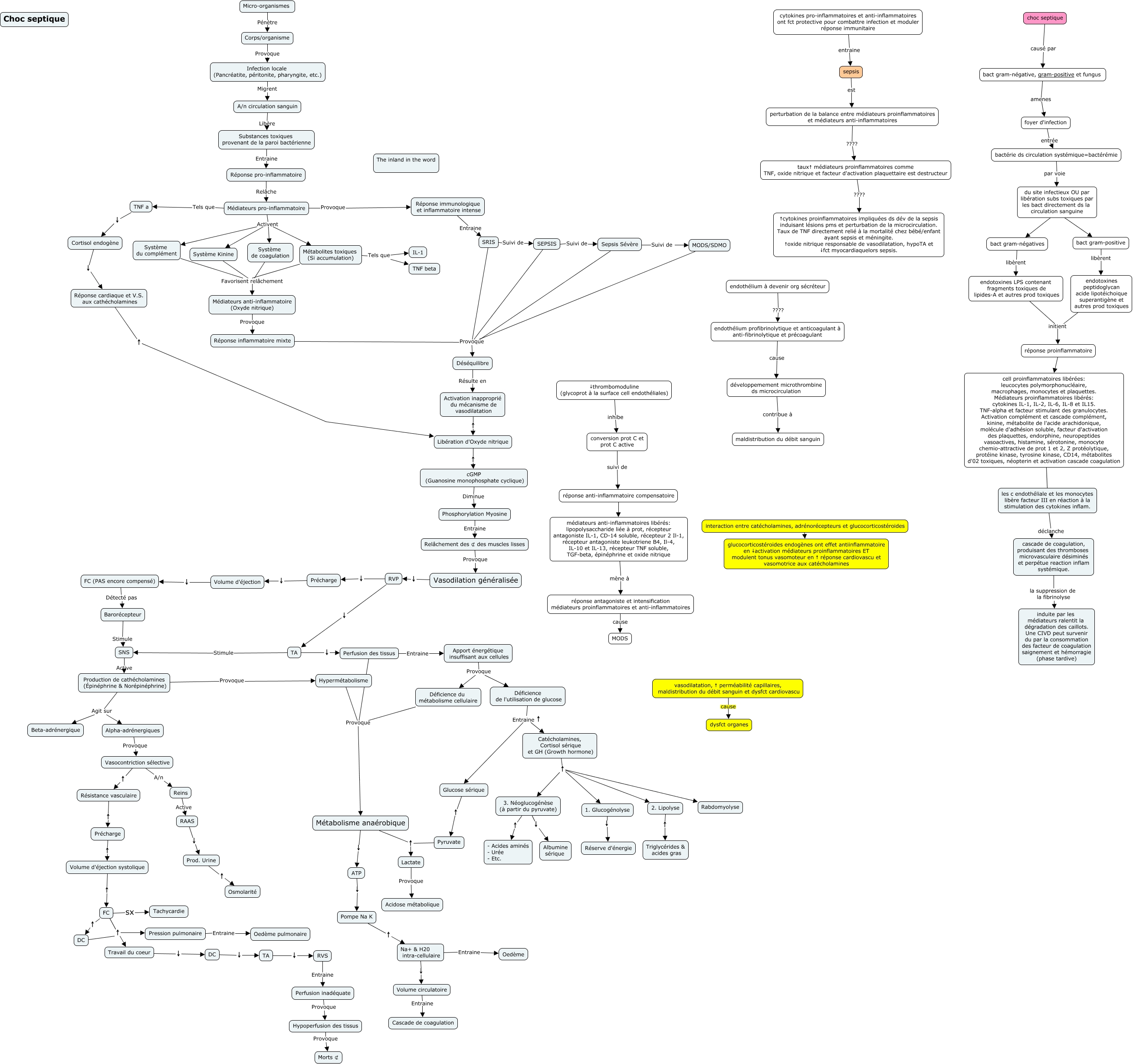 Nathan-Schwartz-cas-5-partie-1-SEPSIS-CMAP