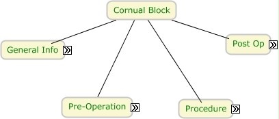 cornual block