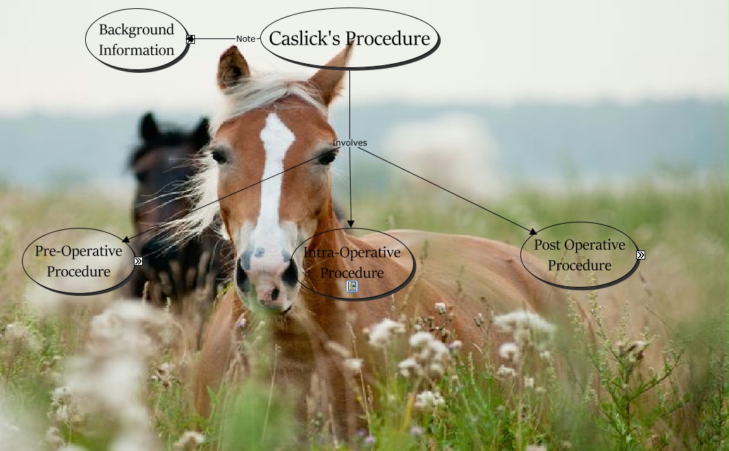 Caslick's Procedure