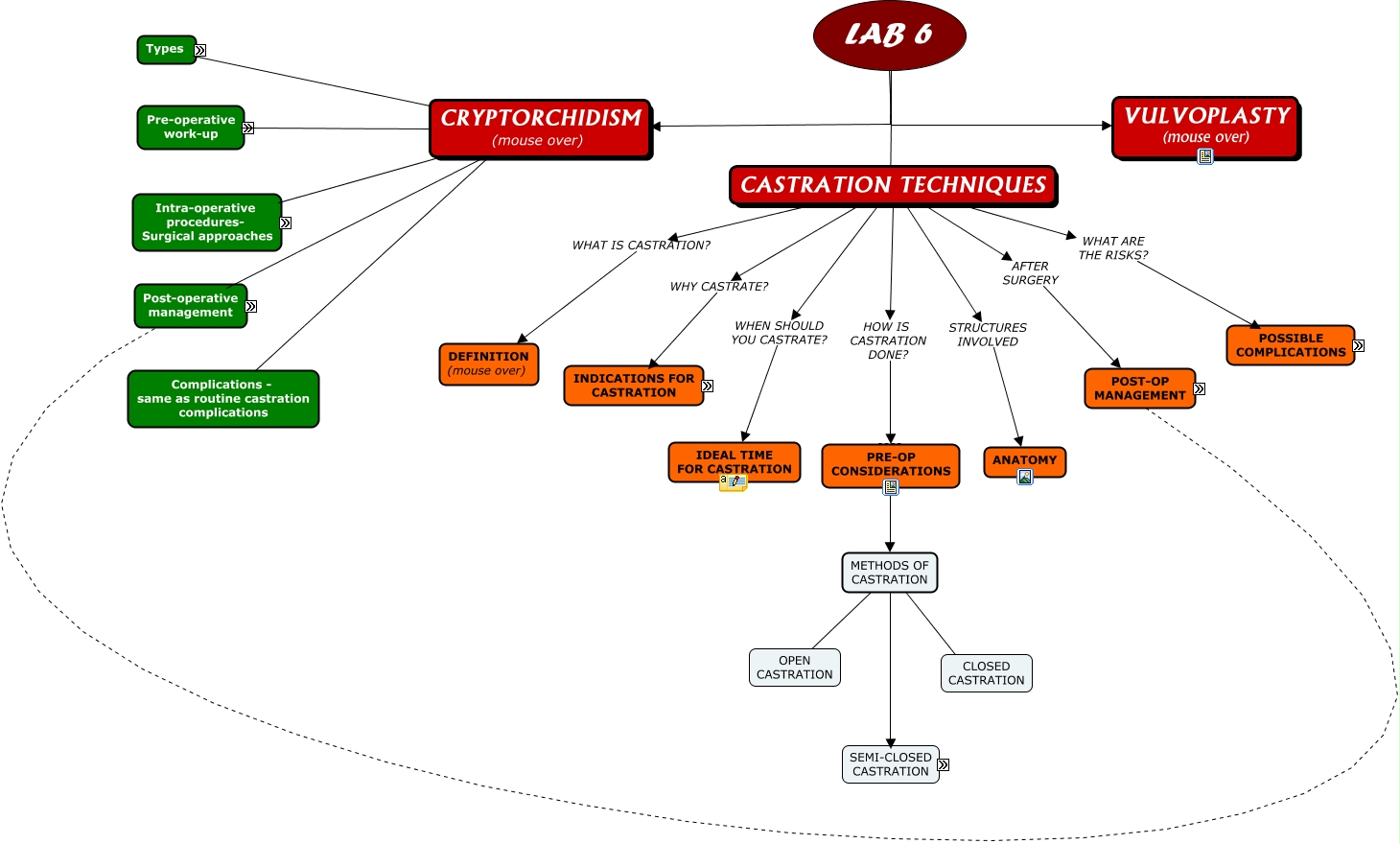 CASTRATION & VULVOPLASTY