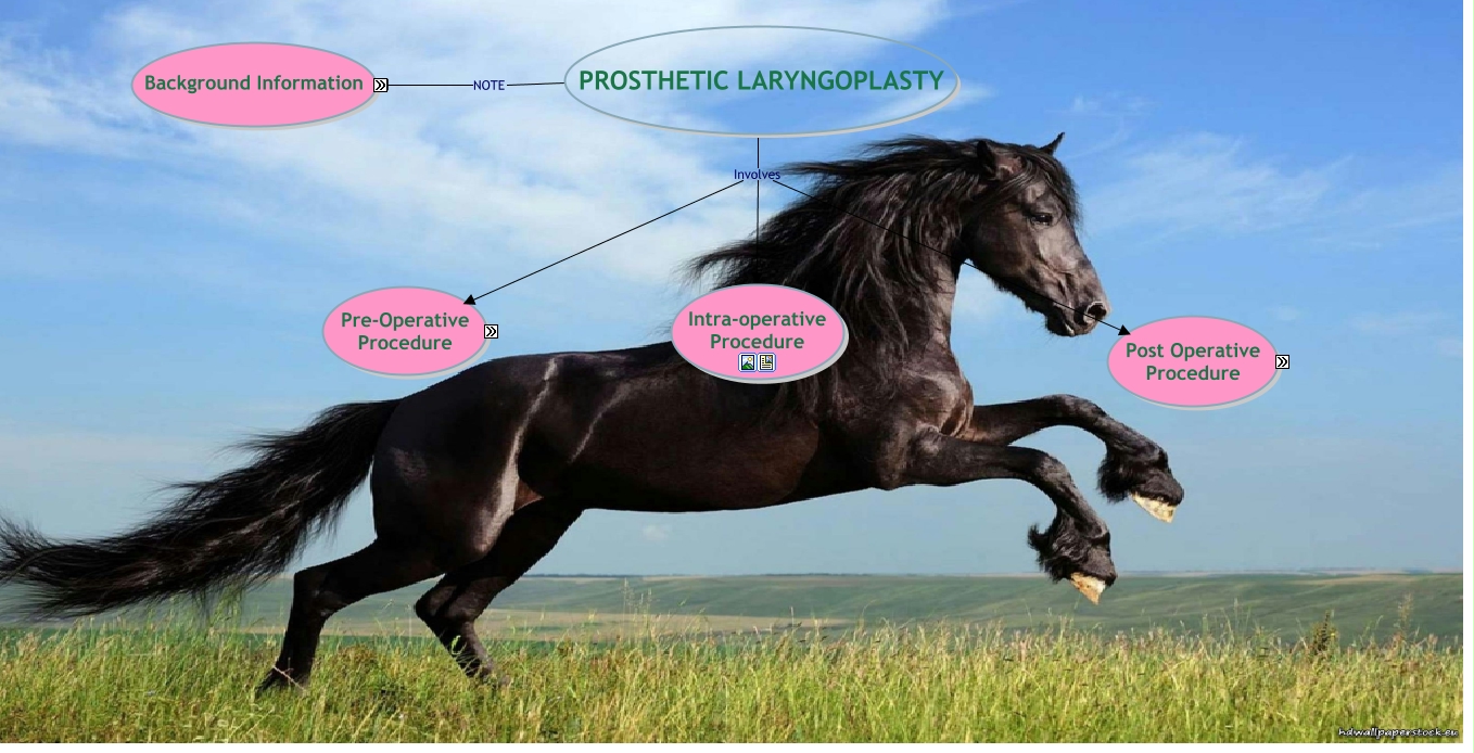 Prosthetic Laryngoplasty