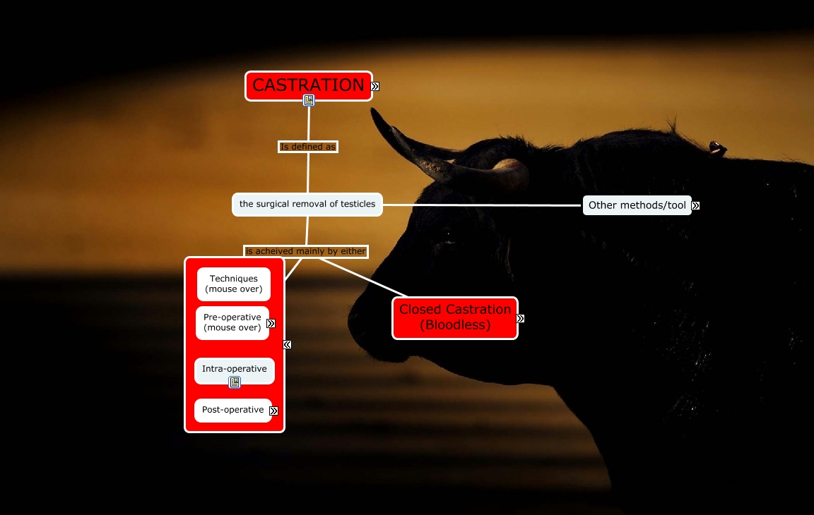 CASTRATION