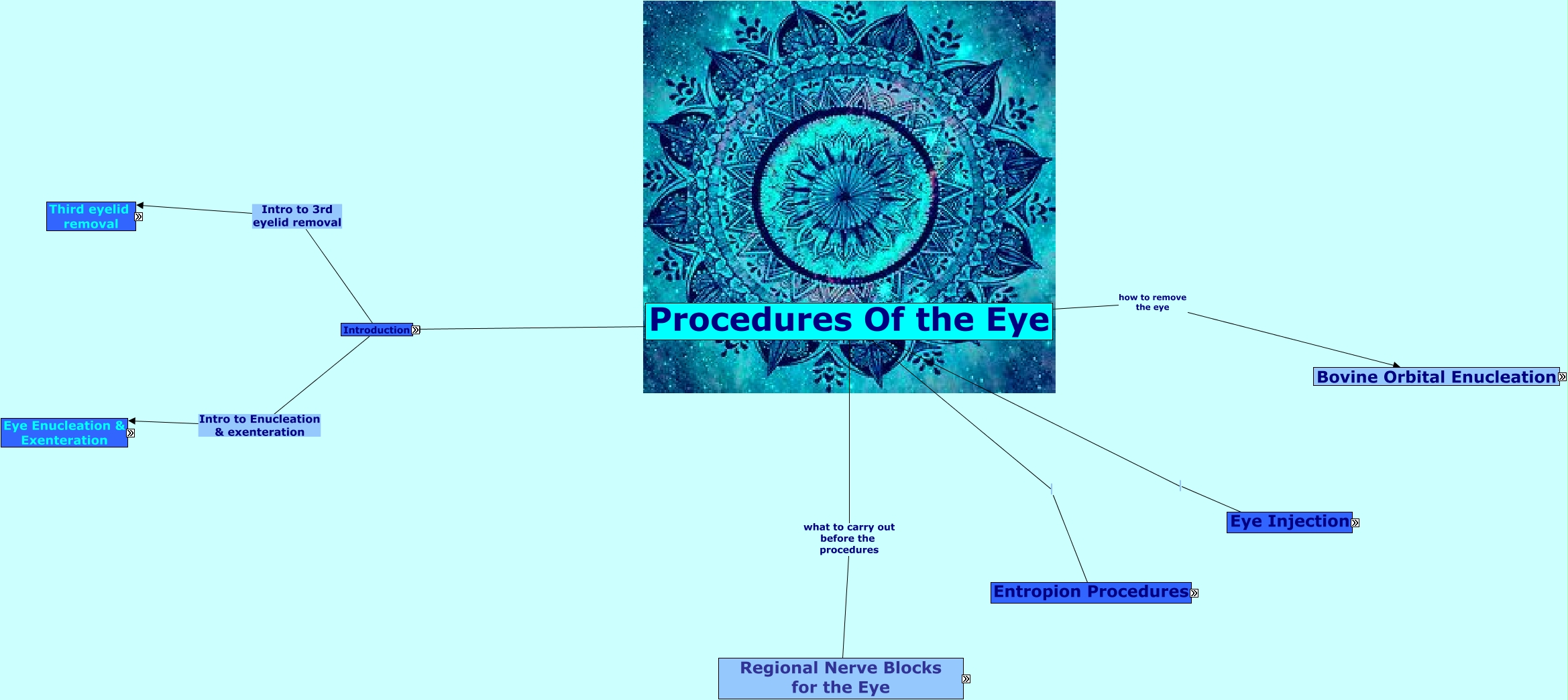 Procedures of the Eye
