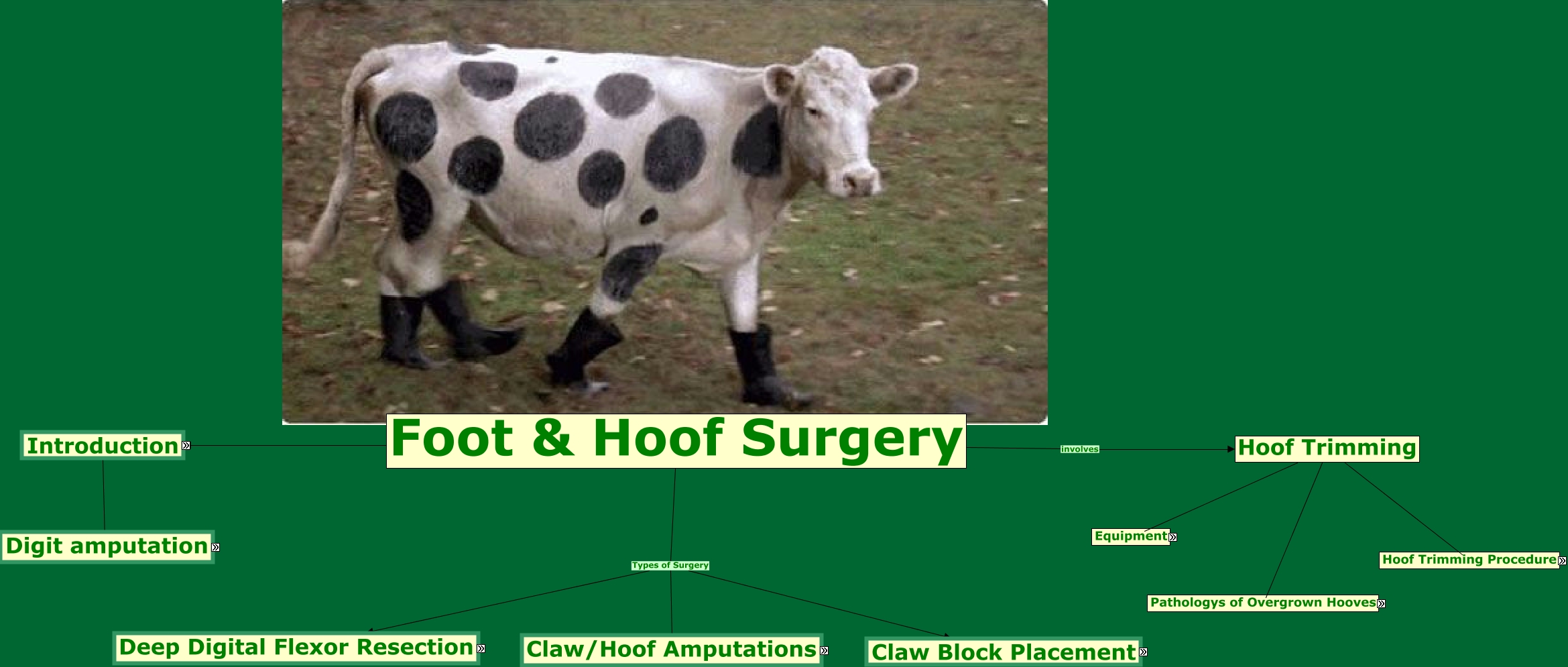 Foot and Hoof SX