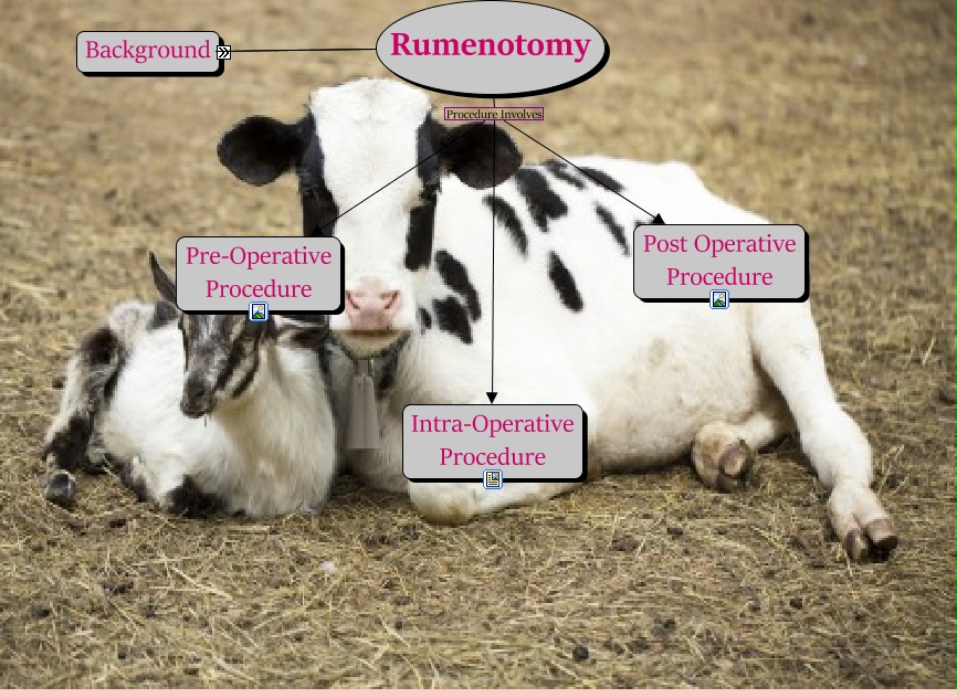 Rumenotomy