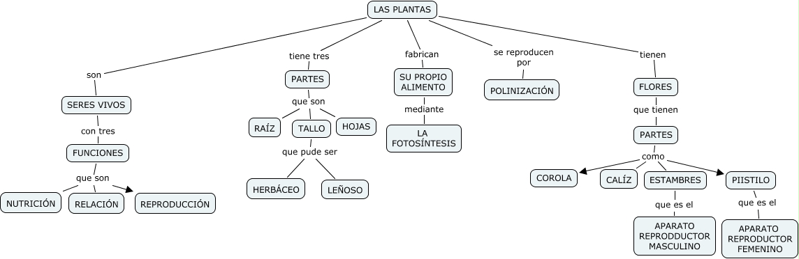 LAS PLANTAS-(Isabel)