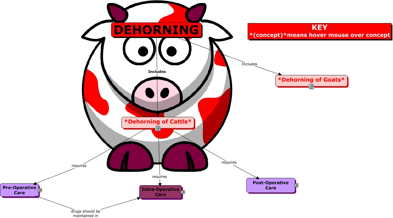 cmap lab 4 group 1 final