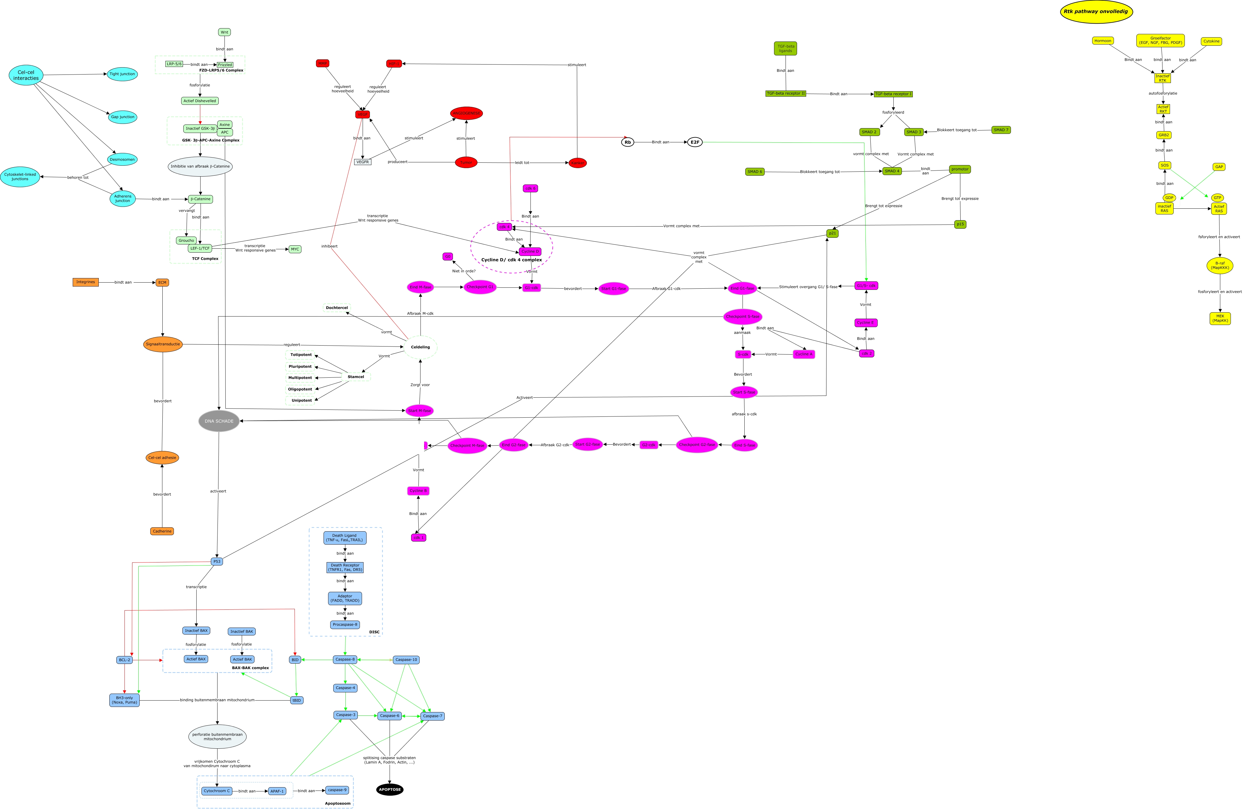 Cmap 1A, 2A,2B, 3A gelinkt