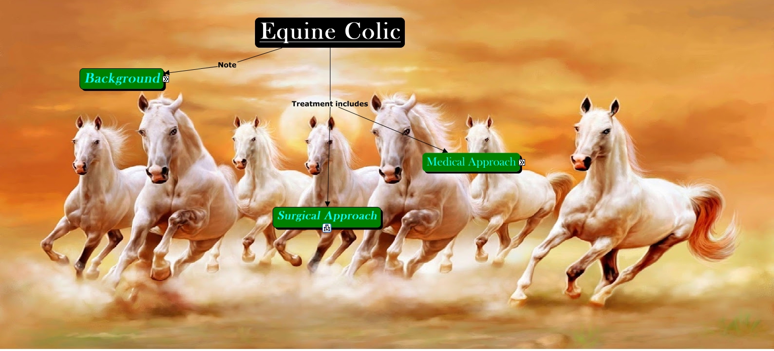 Equine colic