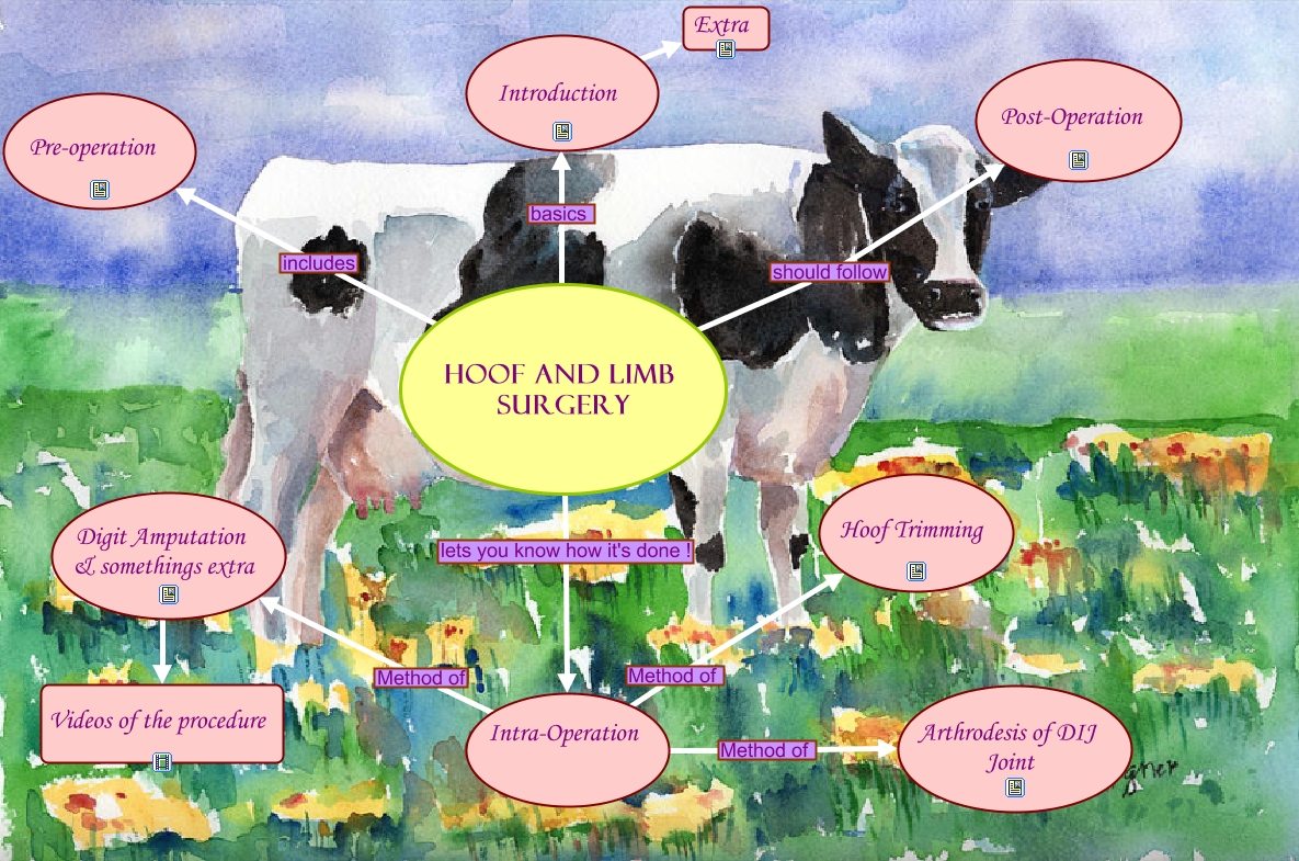 Lab 12- Hoof and Limb Surgery