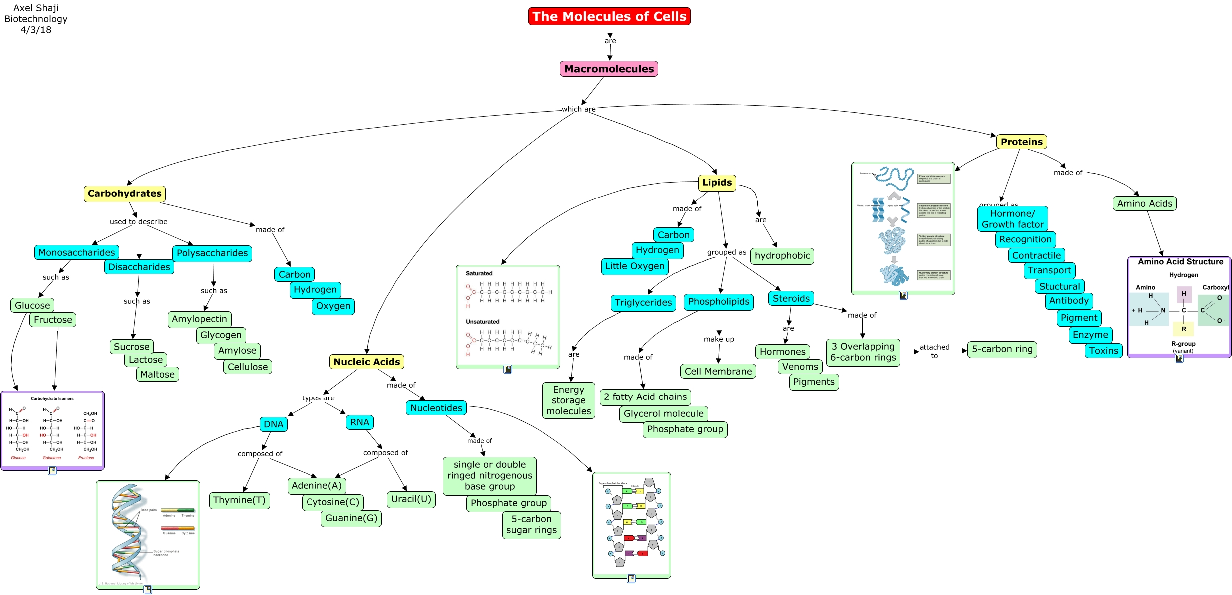 Chapter 2 The Molecules of Cells