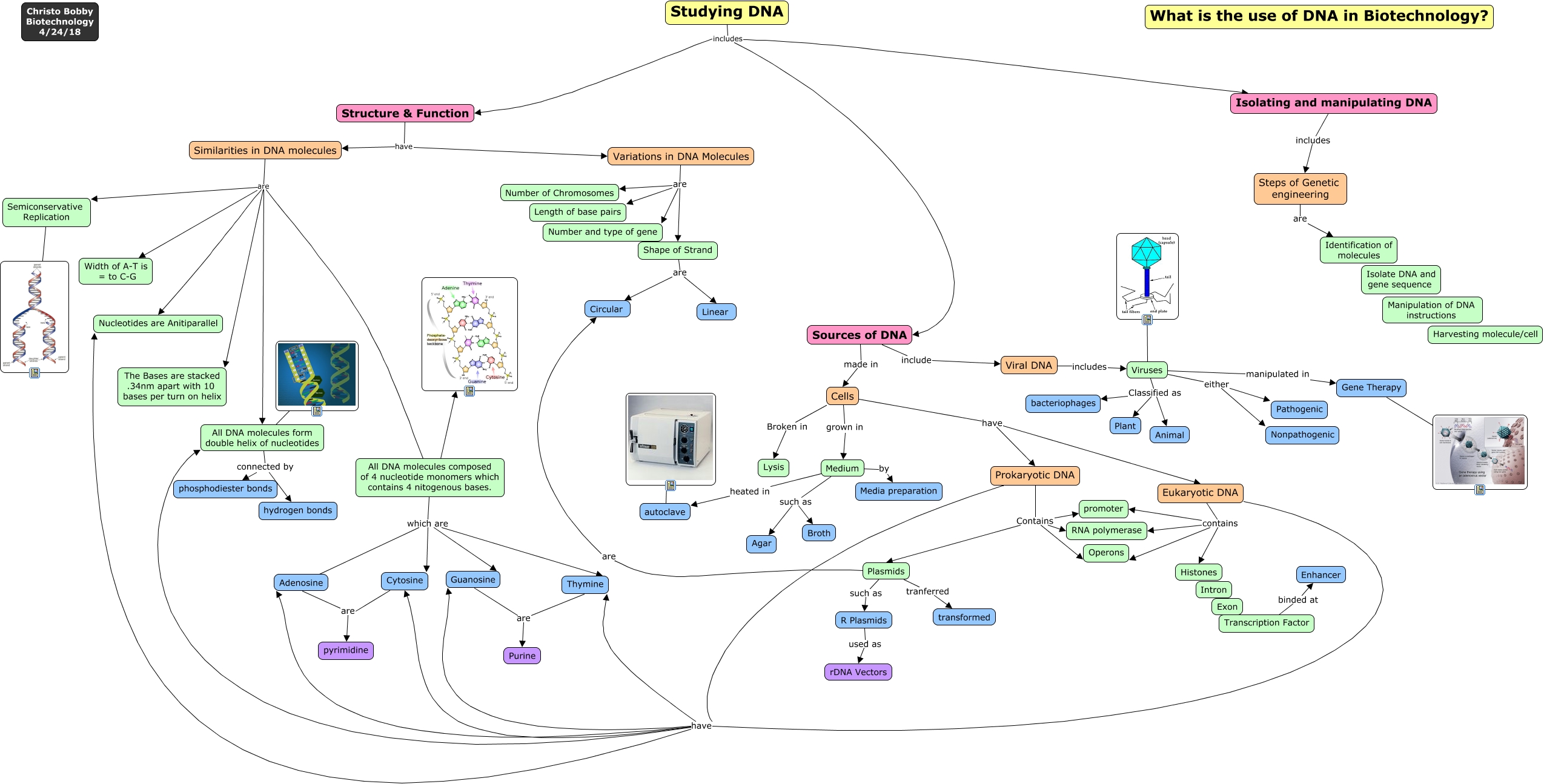 Studying DNA