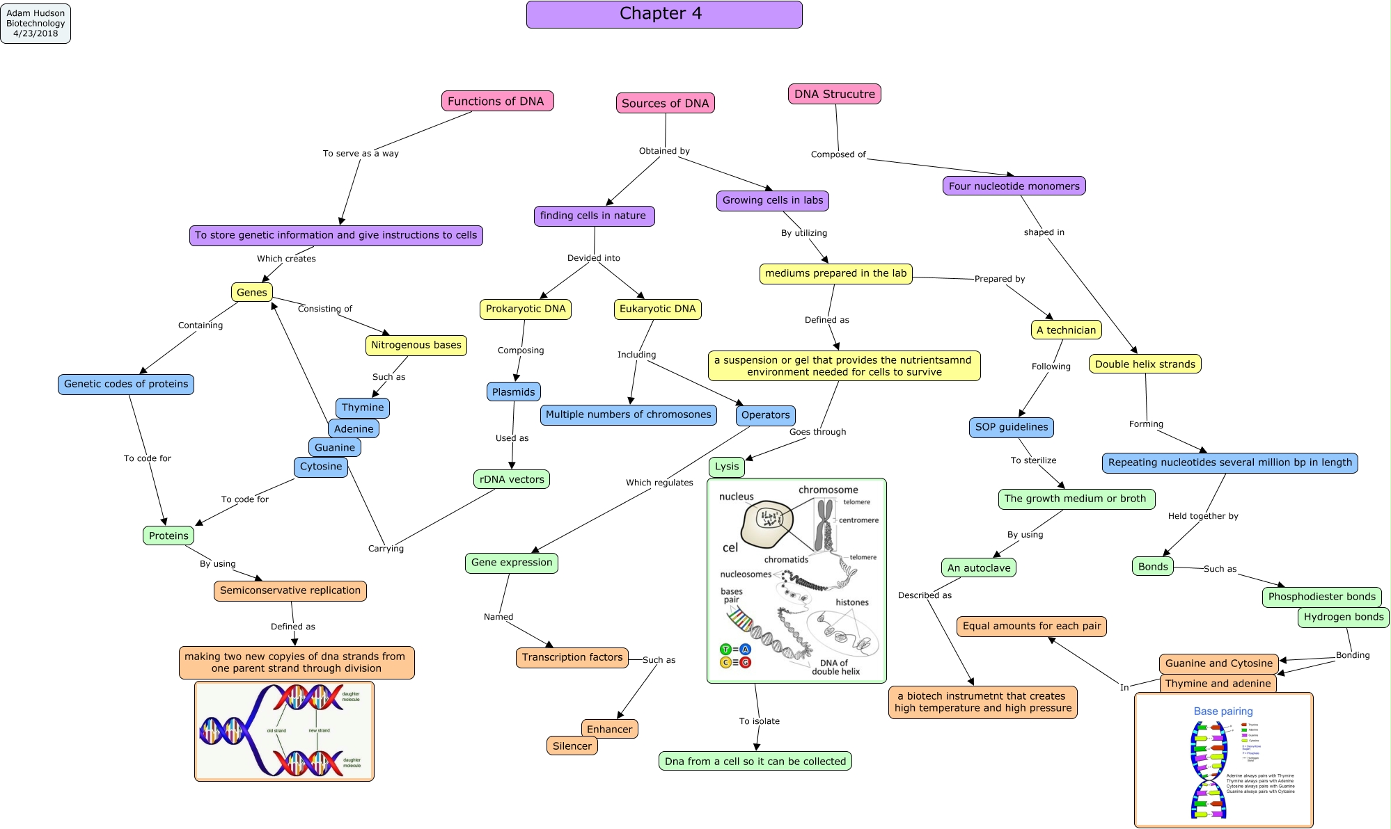 Studying DNA