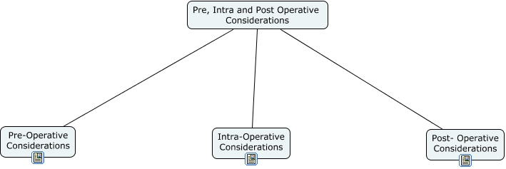 Pre, Intra and Post Op Considerations
