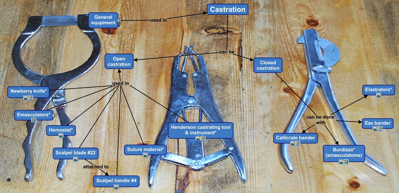 Equipment
