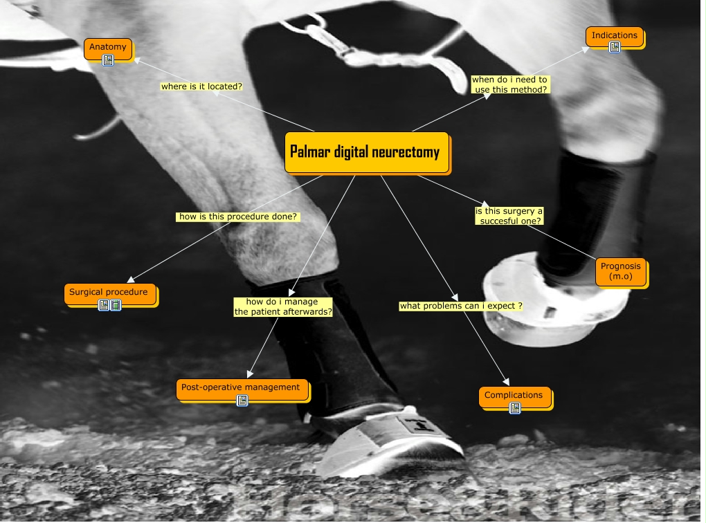 Palmar digital neurectomy