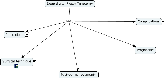 Deep Digital Flexor Tenotomy