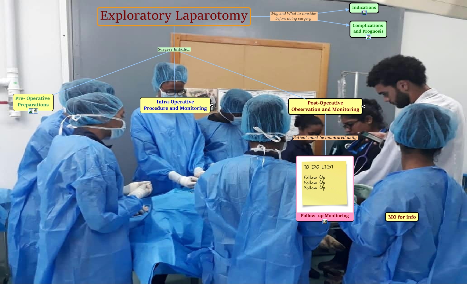 Lab 9- Sheep Exploratory Laparotomy