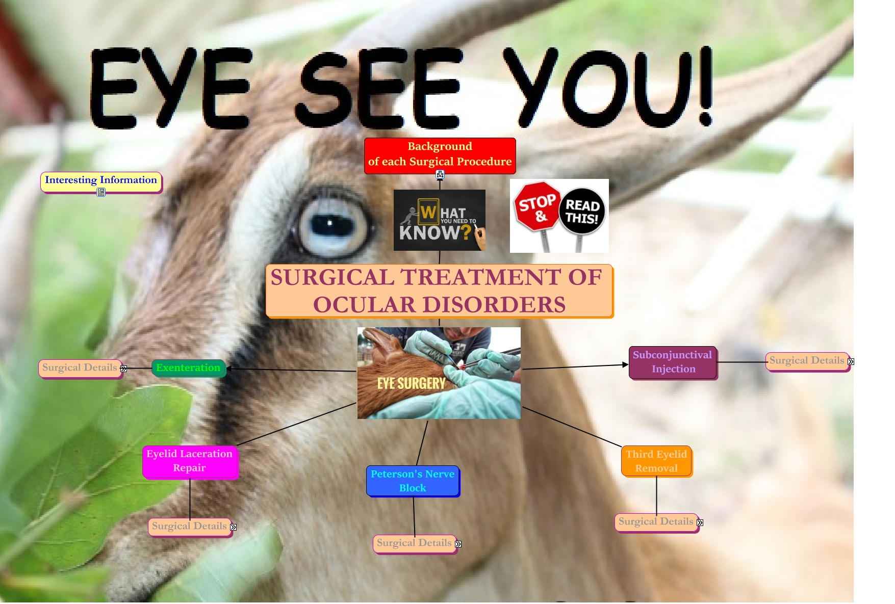Lab 12- Eye Surgery