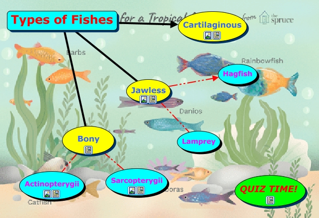 Types of Fishes