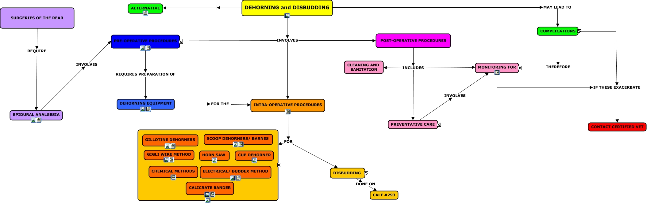 LAB 2 - Dehorning and Disbudding Procedures FINAL