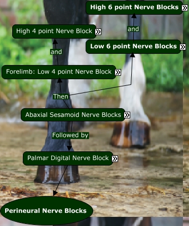 Perineural Nerve Blocks