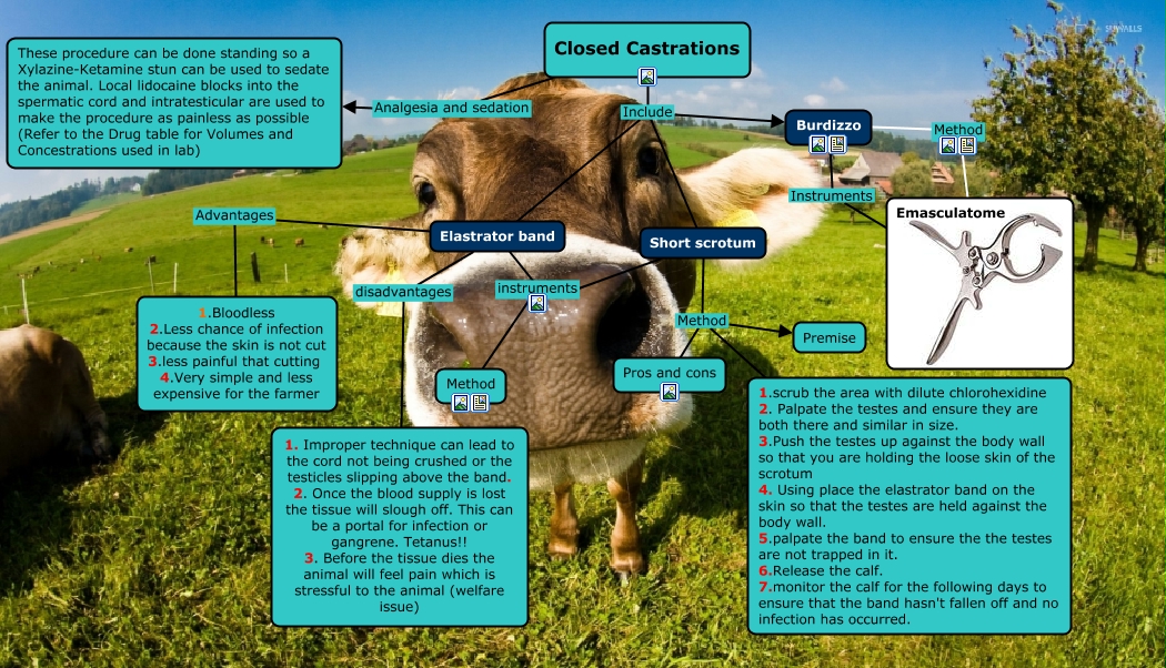 Closed methods of castration