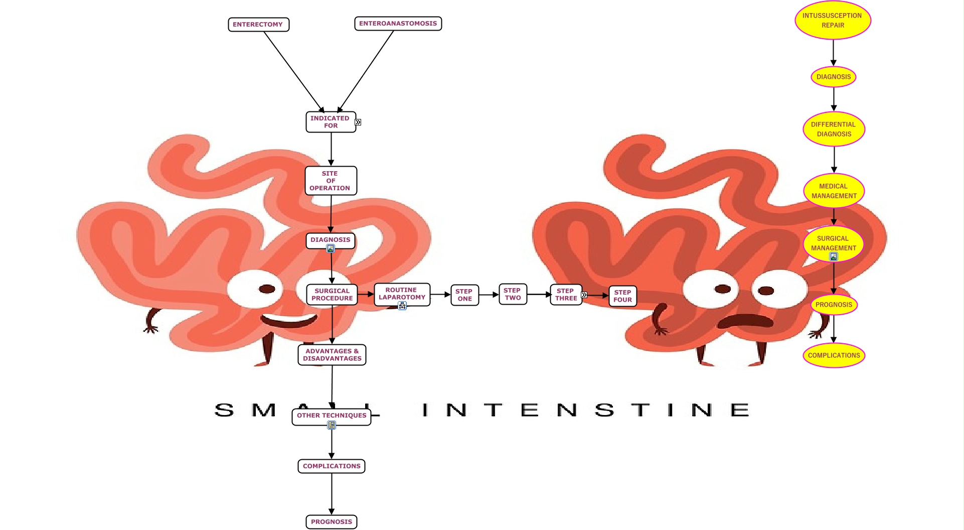 Enterectomy & Enteroanastomosis
