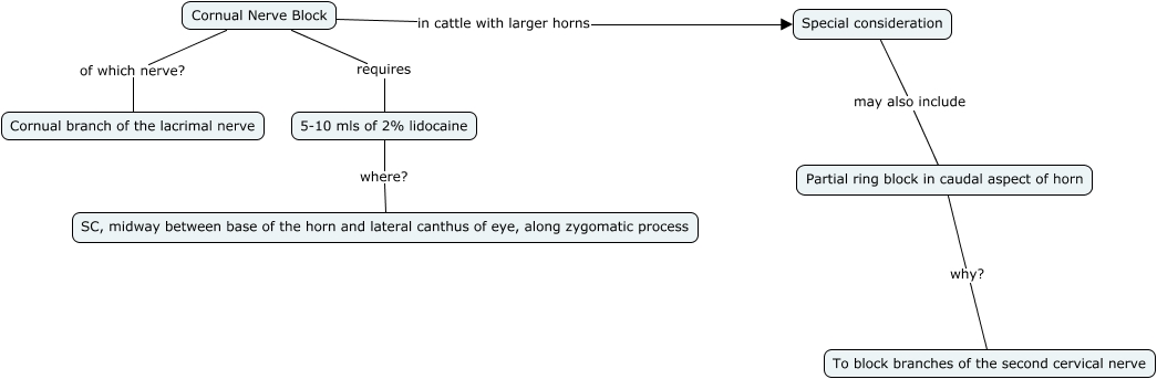 Cornual Nerve Block