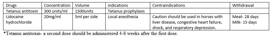 Caslick's vulvoplasty