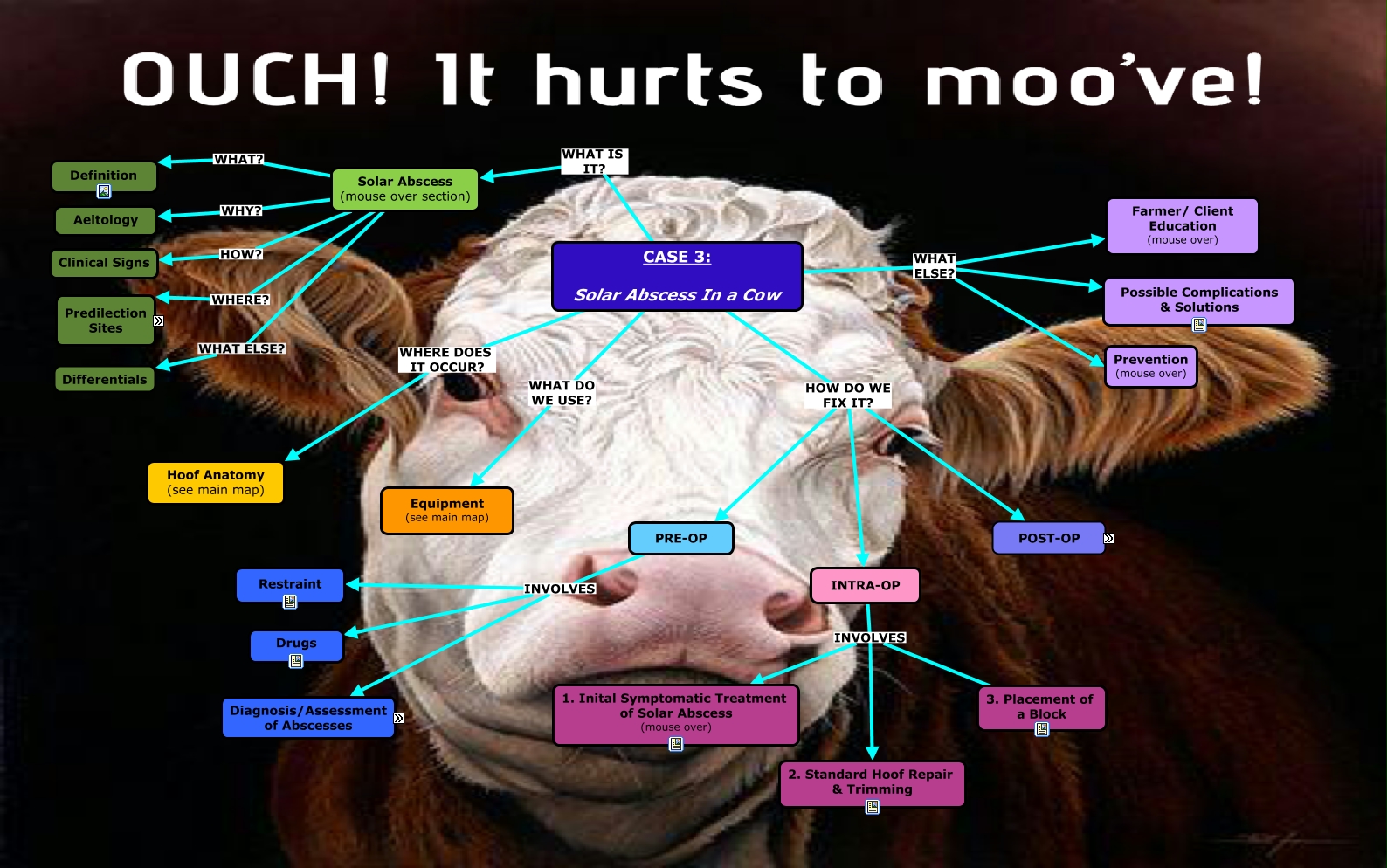 Case 3 Solar Abscess