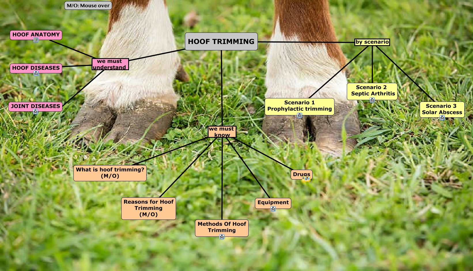 Lab 6 - Ruminant Hoof Trimming