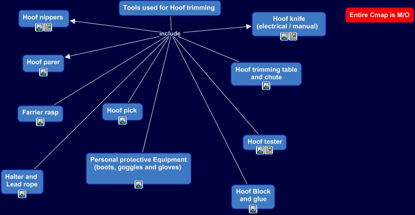Hoof Trimming Equipment