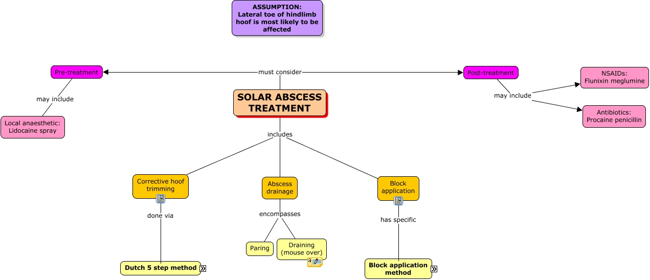 Abscess Treatment