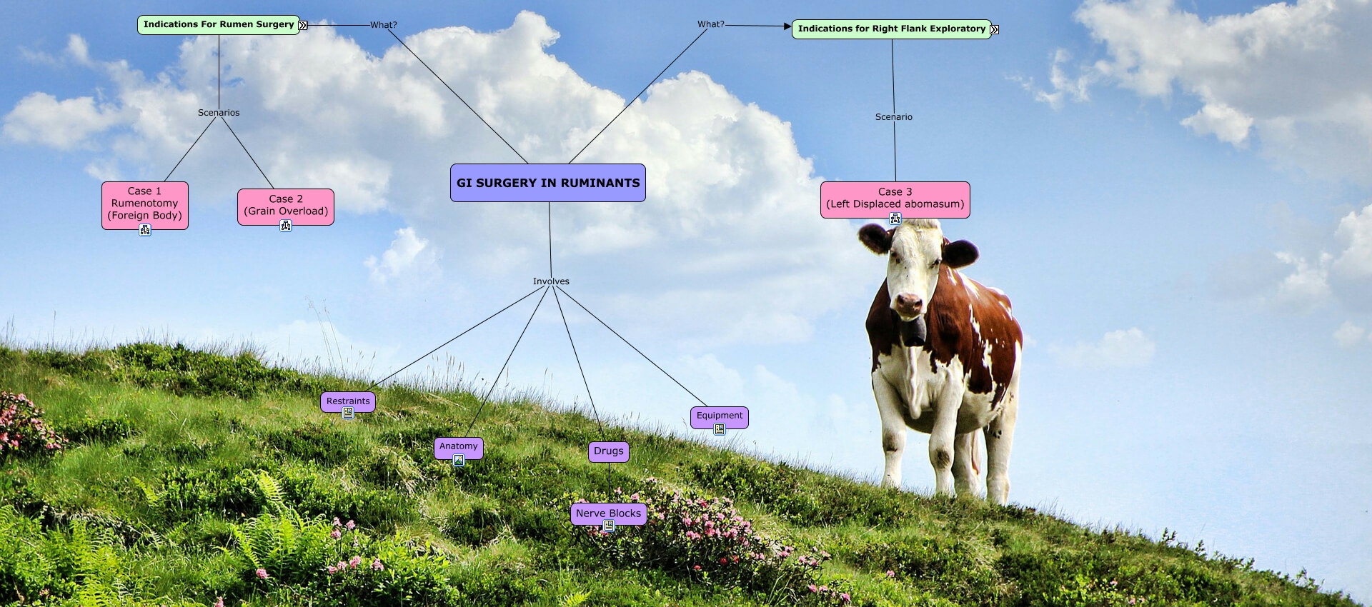 GI SURGERY IN RUMINANTS