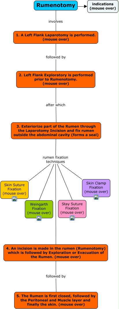 Rumenotomy