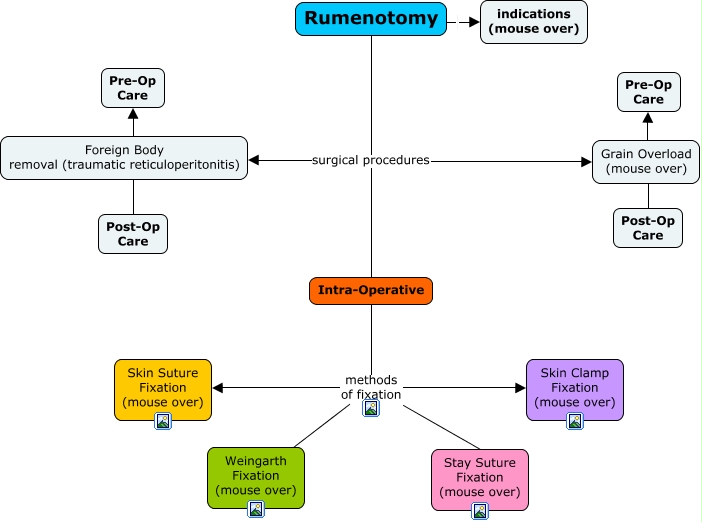 Rumenotomy