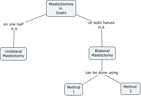 Mastectomy Goat Surgery