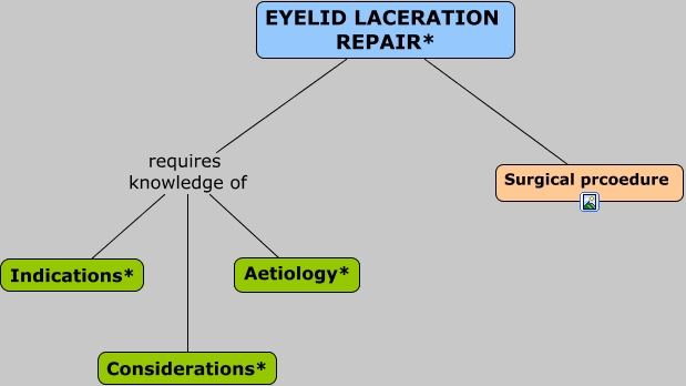 Eyelid Laceration Repair