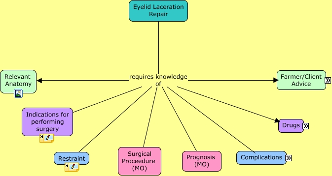 Eyelid Laceration Repair