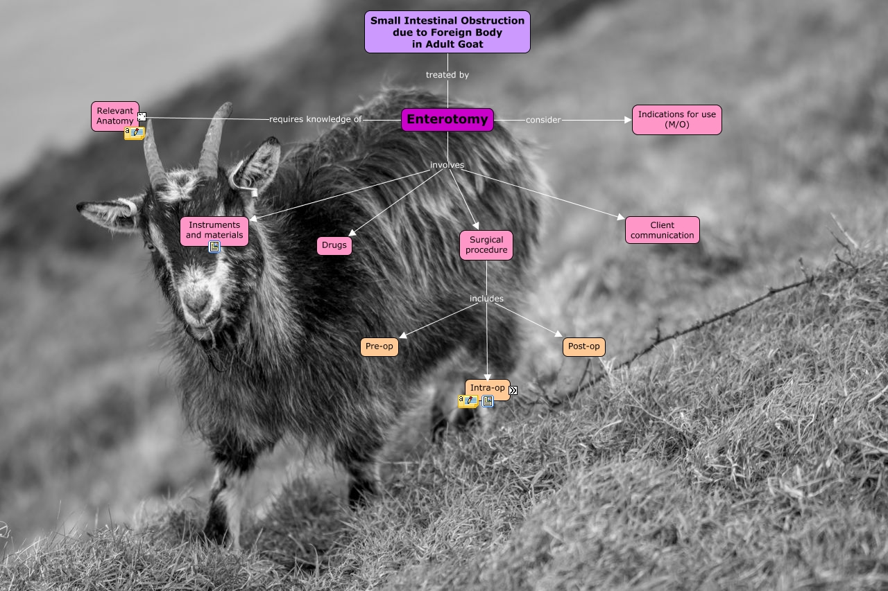Case 2 - Intestinal Obstruction