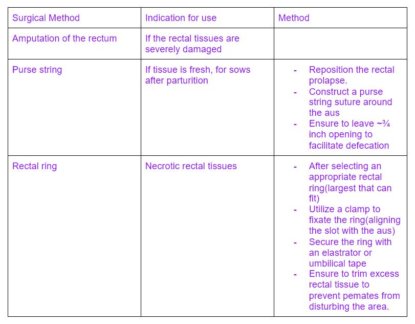 Case 1 Rectal Prolapse