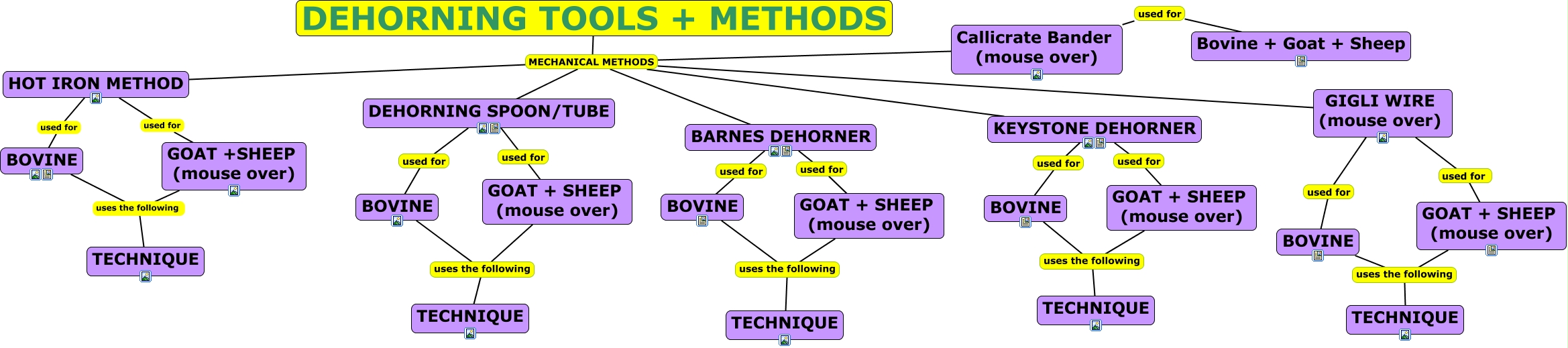 DEHORNING TOOLS AND METHODS CMAPS