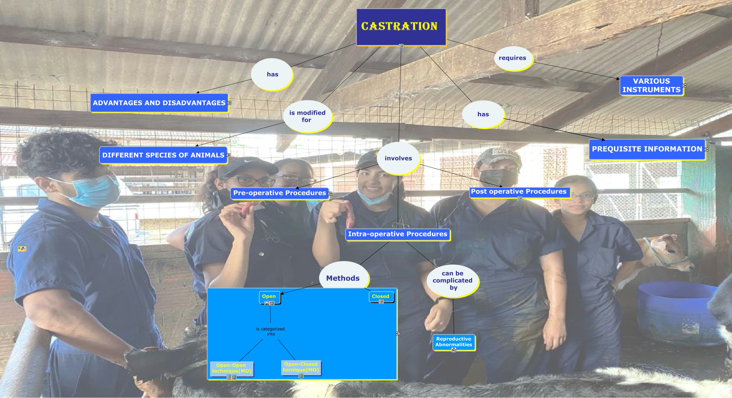 GRP 2 LAS LAB 4- CASTRATION