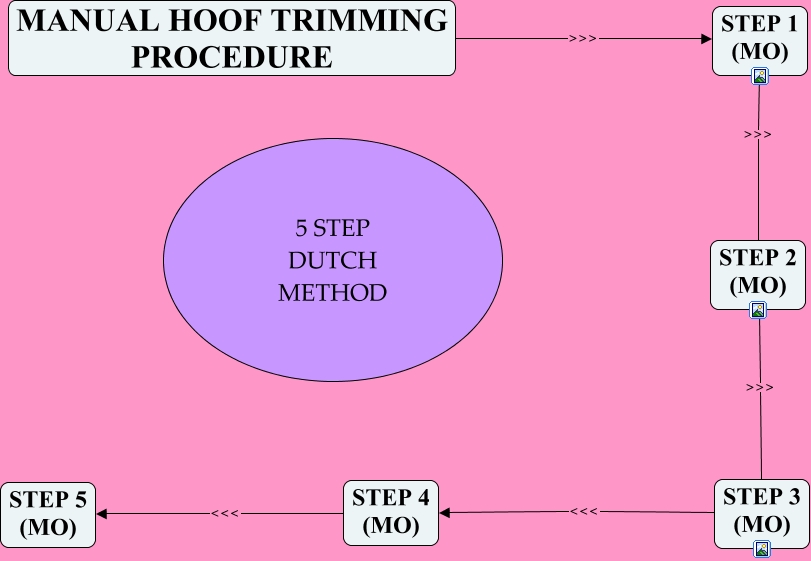 MECHANICAL HOOF TRIMMING